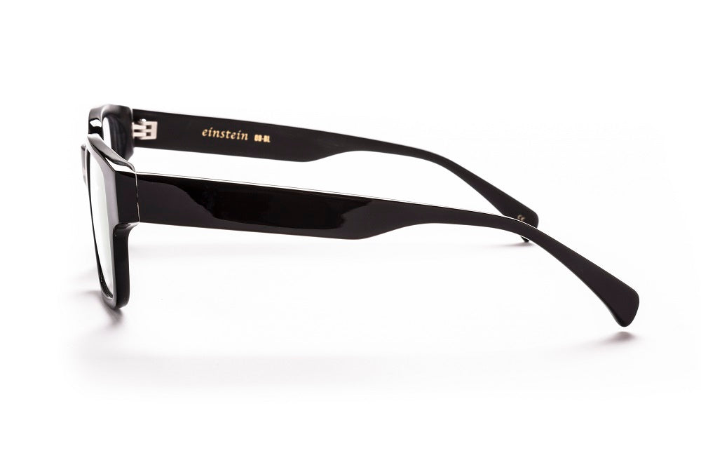 Classic Einstein Sunglasses for Every Occasion | AM EYEWEAR